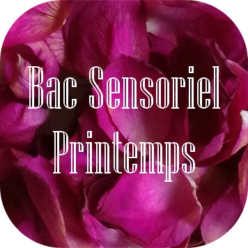 Bac sensoriel printemps : découverte odorante et fleurie - Plongez dans ...